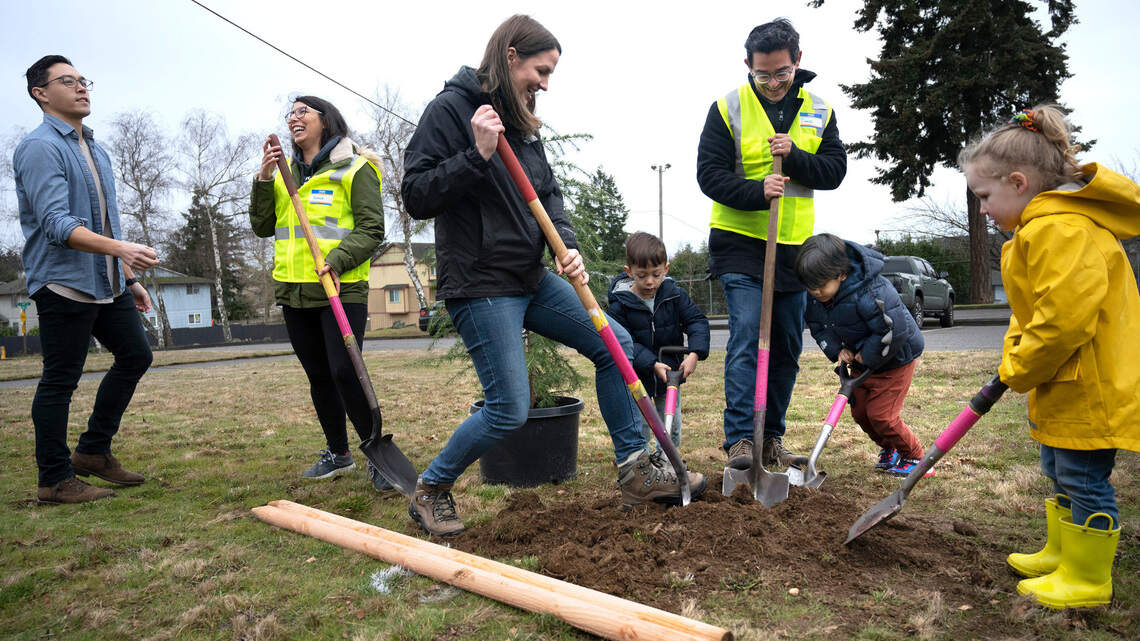 Volunteers help plant trees at Madison School in Tacoma | Tacoma News ...