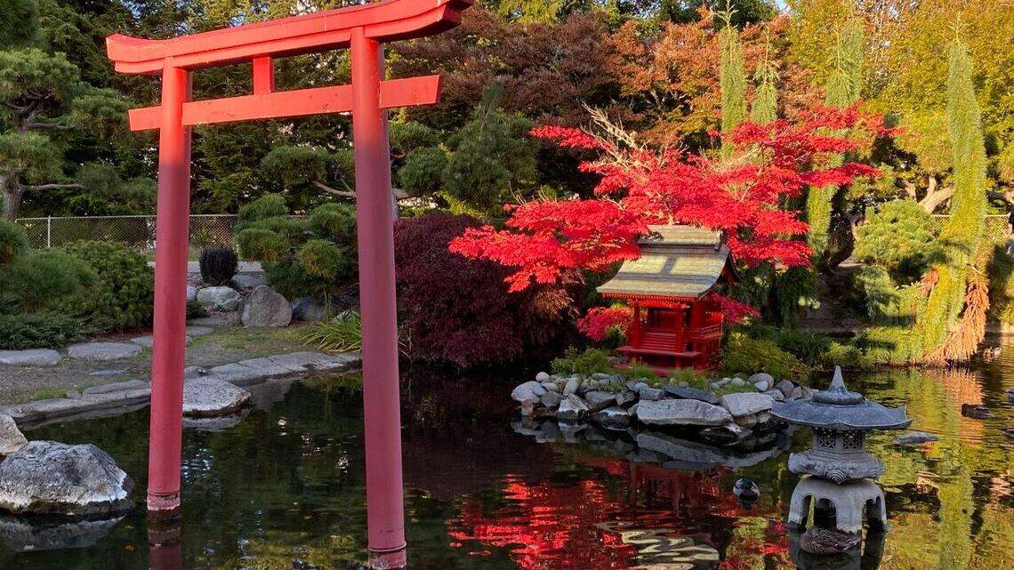 Point Defiance Park’s Japanese garden is in limbo | Tacoma News Tribune