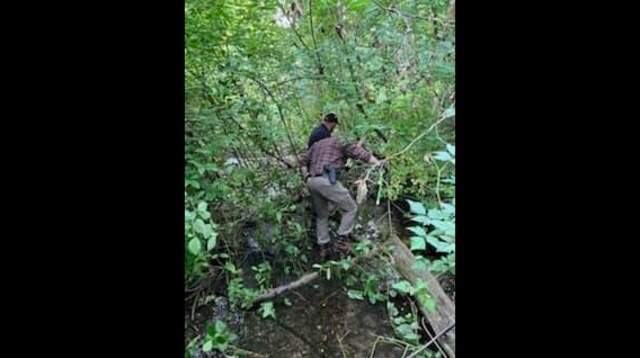 Human remains discovered near park-and-ride in Purdy | Tacoma News Tribune