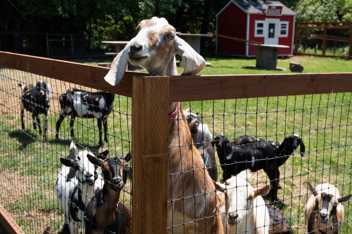 Harbor Farms opens for fall at larger Gig Harbor-area site | Tacoma ...