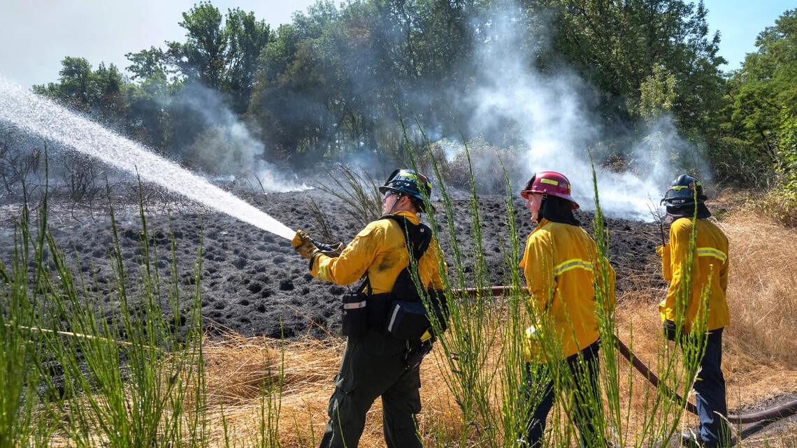 Two East Pierce County fire districts have levies on the ballot ...