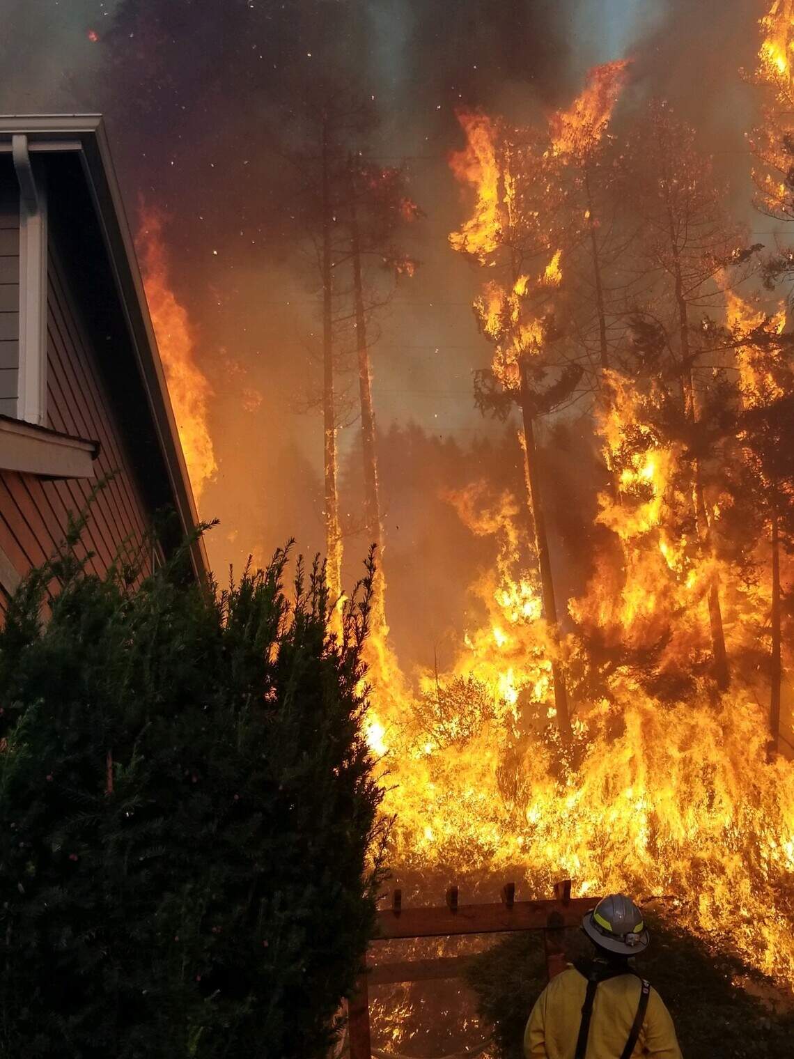 LA type fires can happen in western Washington, experts say | Tacoma ...