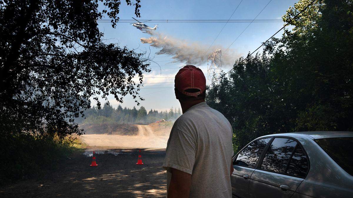 Pierce County burn ban starts June 1 to reduce wildfire risk | Tacoma ...