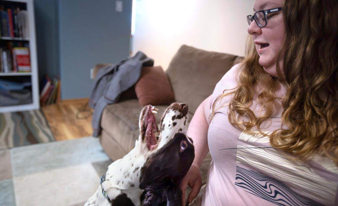 Meet Pippin from Puyallup, voted Pierce County’s cutest dog | Tacoma ...