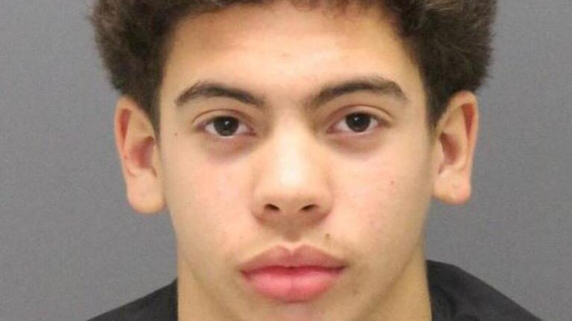 $1 million bail for teen accused of fatal botched Parkland robbery ...