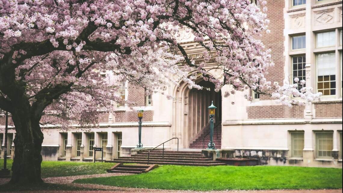 Five Washington universities rank among best in US | Tacoma News Tribune