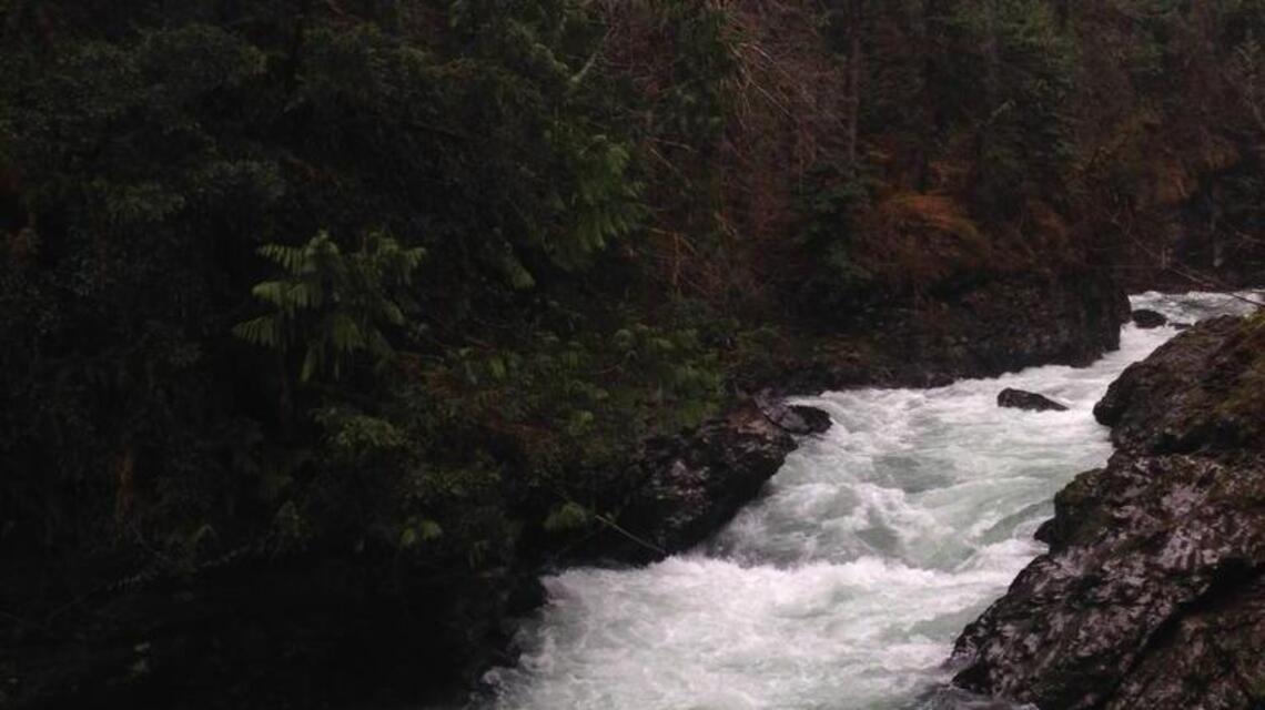Trail of the week: Ranger Hole at Olympic National Forest | Tacoma News ...